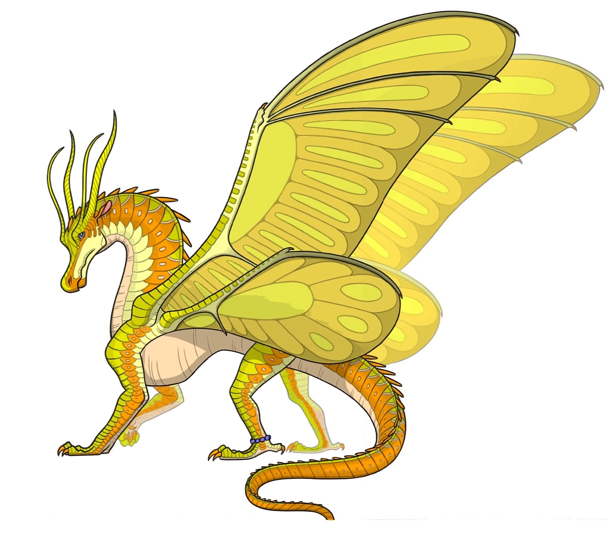 Ray | Wings of Fire Fanon Wiki | Fandom Ray | Wings of Fire Fanon Wiki | Fandom