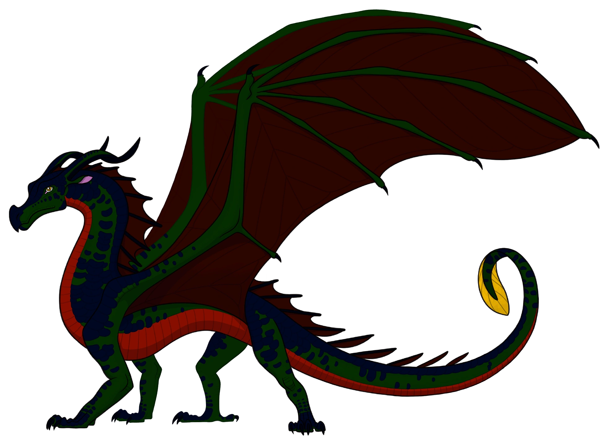 Acatalepsy | Wings of Fire Fanon Wiki | Fandom