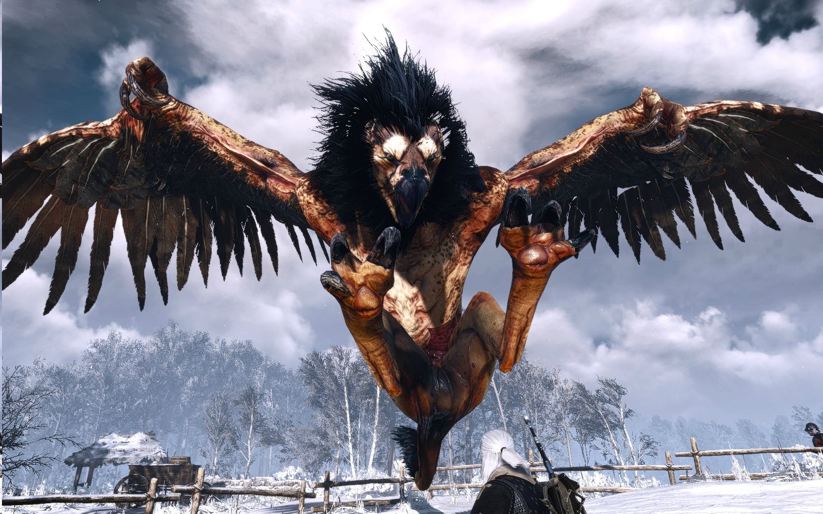 Griffin (creature) | Witcher Wiki | FANDOM powered by Wikia Griffin (creature) | Witcher Wiki | FANDOM powered by Wikia