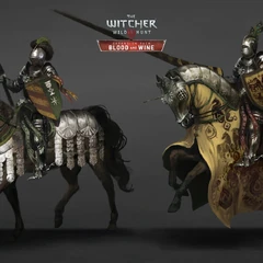 Knight | Witcher Wiki | Fandom