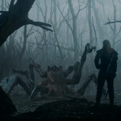 Kikimore warrior | Witcher Wiki | Fandom