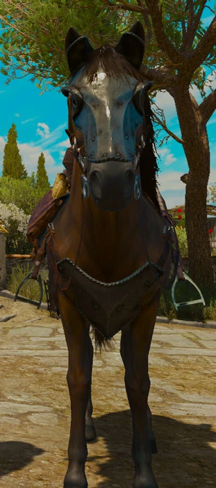 Zerrikanian blinders | Witcher Wiki | Fandom