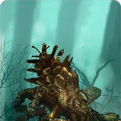 Arachas | Witcher Wiki | FANDOM powered by Wikia