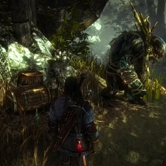 Troll Trouble | Witcher Wiki | Fandom