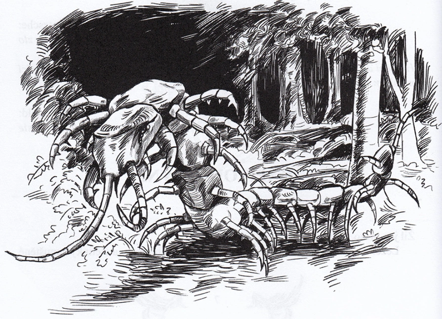 Idr | Witcher Wiki | FANDOM powered by Wikia