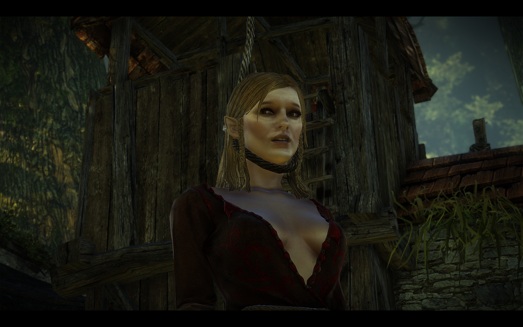 Image Execution 01png Witcher Wiki Fandom Powered By Wikia