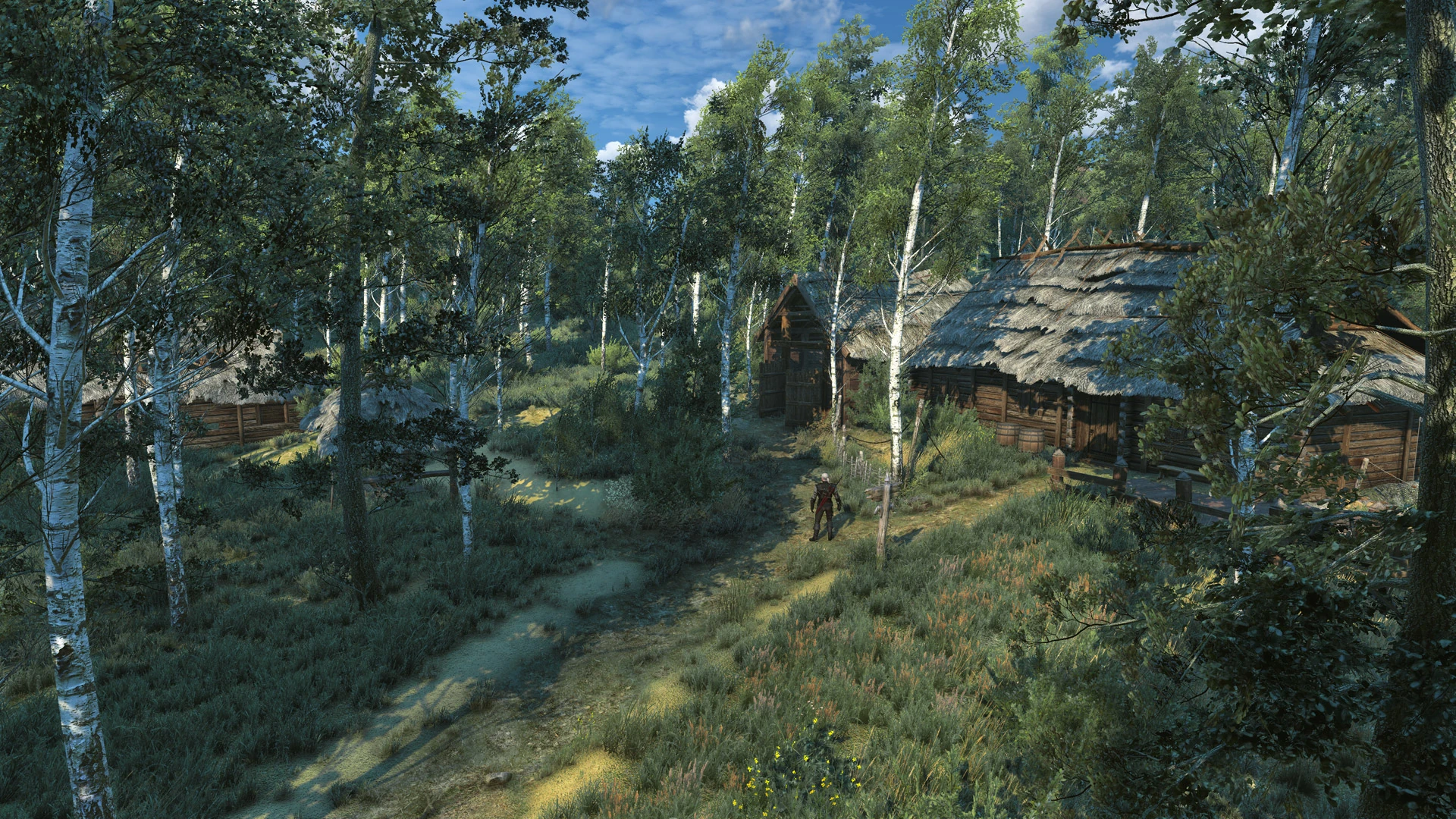 Isolated Hut | Witcher Wiki | Fandom