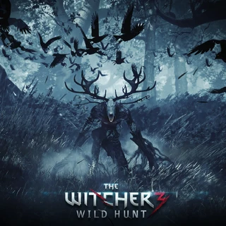 Killing Monsters | Witcher Wiki | Fandom