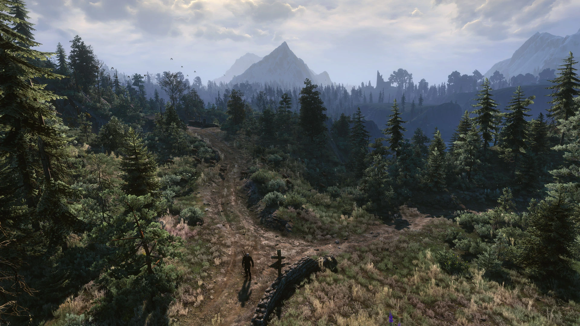 Crossroads (Ard Skellig) | Witcher Wiki | Fandom