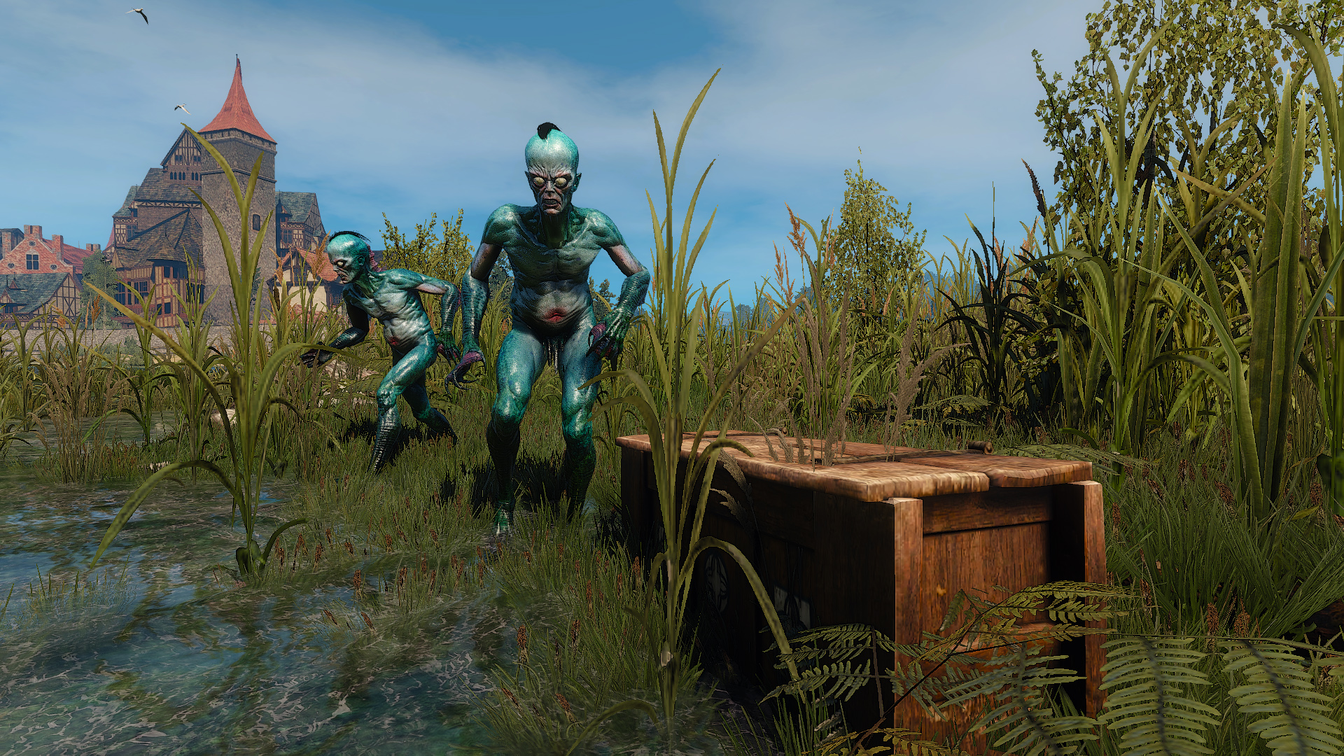 Lost Goods Witcher Wiki FANDOM Powered By Wikia lost-goods-witcher-wiki-fandom-powered-by-wikia