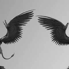 Griffin (creature) | Witcher Wiki | Fandom