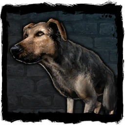Dog | Witcher Wiki | Fandom