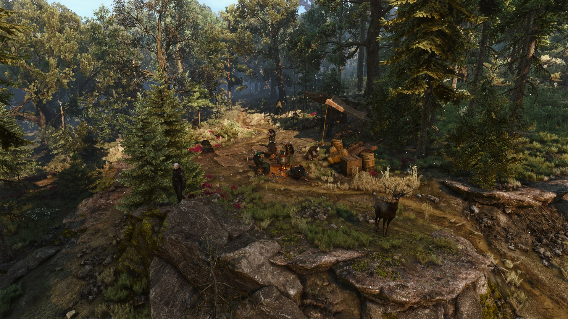 Druids' Camp | Witcher Wiki | Fandom