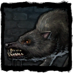Wolf (creature) | Witcher Wiki | Fandom