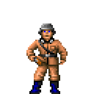 Guard | Wolfenstein 3D Wiki | Fandom