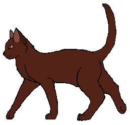 Dębowe Serce | Wojownicy Wiki | Fandom