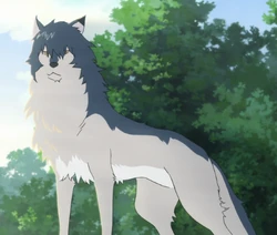 Ame | Wolf Children Wiki | Fandom