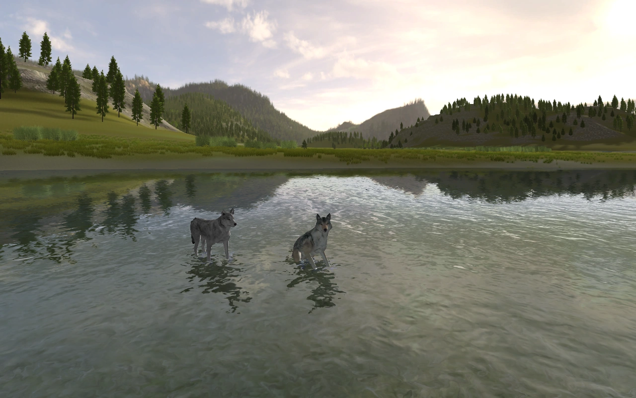 Graphics quality | WolfQuest Wiki | FANDOM powered by Wikia