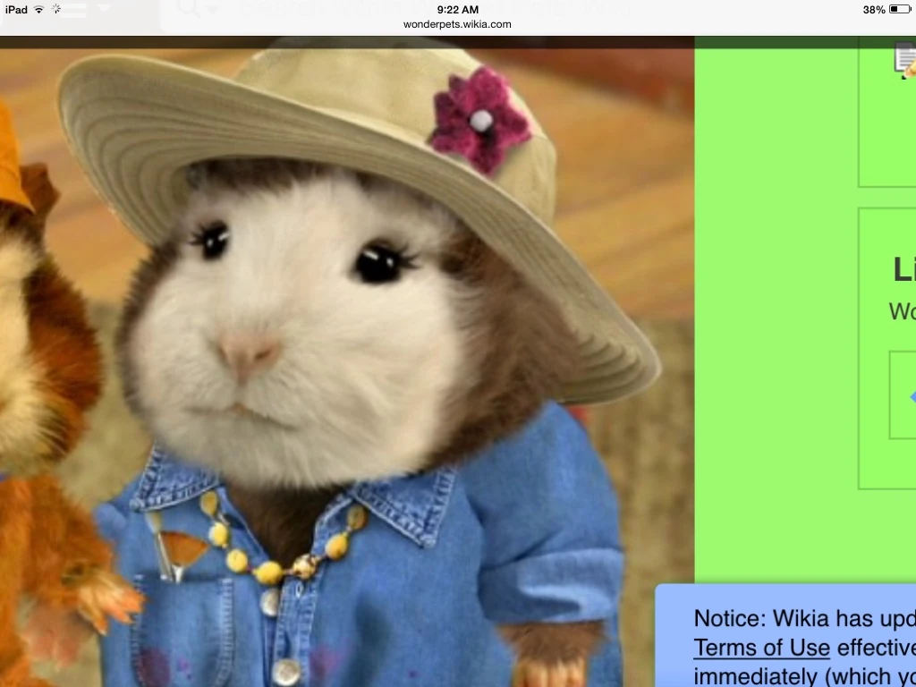 Linny family | Wonder Fanon Wiki | Fandom