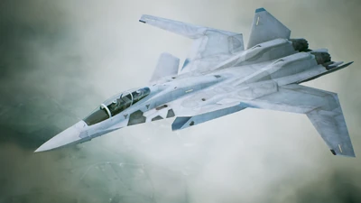 X-02S Strike Wyvern Ace Combat | Worldofjaymz Wiki | Fandom