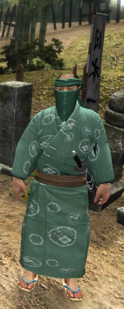 Green Samurai | WOTS Wiki | Fandom