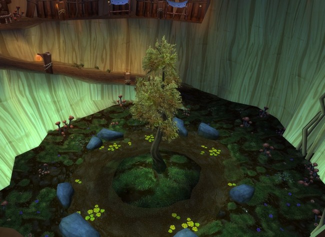 Questvordrassils Sapling Wowwiki Fandom Powered By Wikia