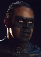 Arrowverse (TV) | Who’s Who In Comic Book Movies Wikia | Fandom