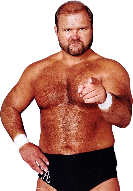 Arn Anderson | WWE Wiki | Fandom