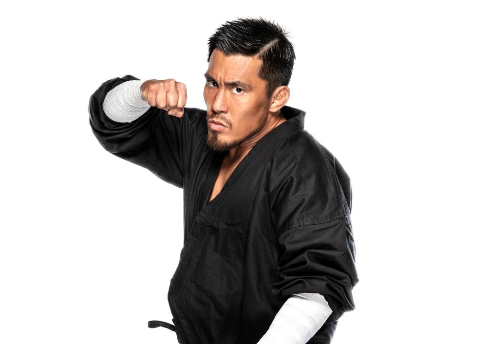 Akira Tozawa | OfficialWWE Wiki | FANDOM powered by Wikia