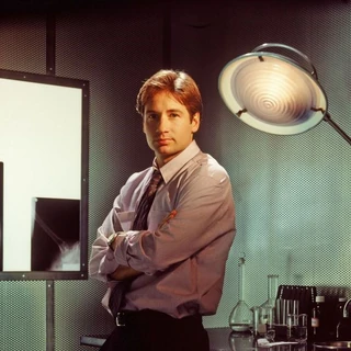 The X-Files (season 1) | X-Files Wiki | Fandom