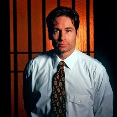 The X-Files (season 1) | X-Files Wiki | Fandom