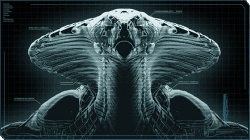 Viper Autopsy | XCOM Wiki | Fandom
