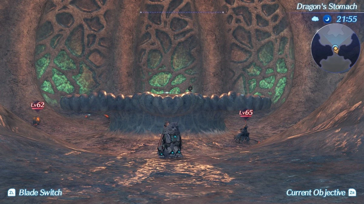 Dragon's Stomach | Xenoblade Wiki | Fandom