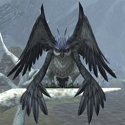 Coppice Quadwing | Xenoblade Wiki | Fandom