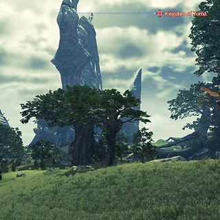 Gormott (TTGC) | Xenoblade Wiki | Fandom