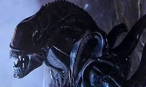 Xenomorph Species Wiki | FANDOM powered by Wikia