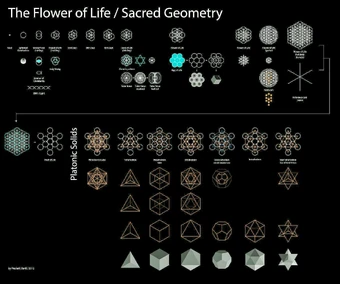 Sacred Geometry Flower Of Life Meaning | Best Flower Site