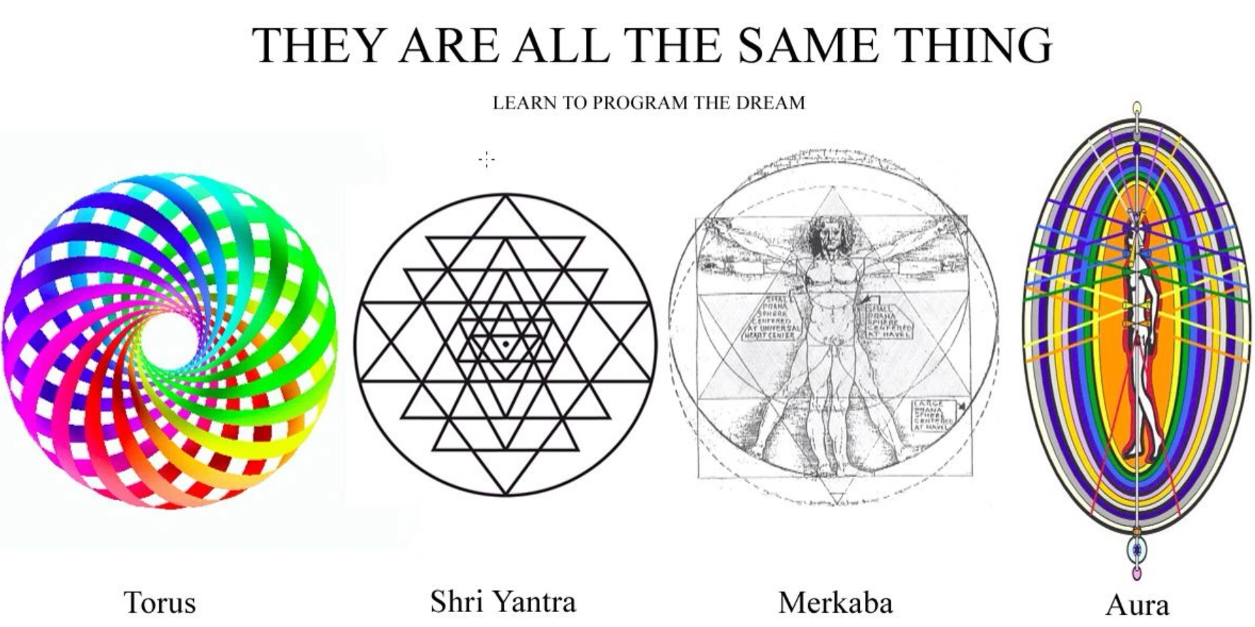 Flower Of Life Torus | Best Flower Site