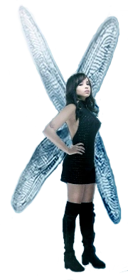 Imagen - X-Men-First-Class-Angel-08.png | Wiki X-Men | FANDOM powered ...