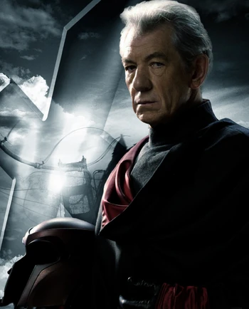 Erik Lensherr / Magneto | Wiki X-Men | Fandom