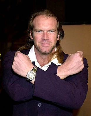Tyler Mane | X-Men Movies Wiki | Fandom