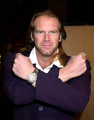 Tyler Mane | X-Men Movies Wiki | Fandom