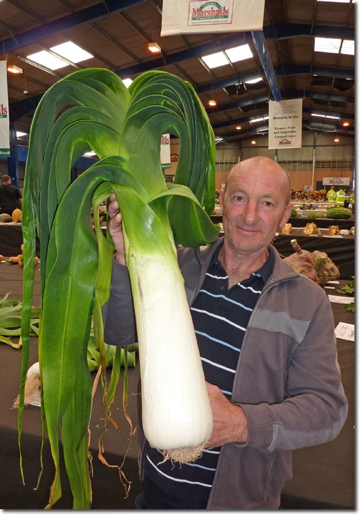 Spoiler alert: This might be the biggest leek ever posted on this wiki ...