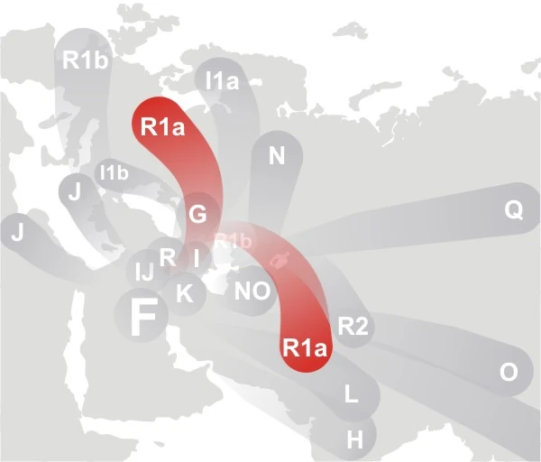 Haplogroup R1a (Y-DNA) | Yenişehir Wiki | FANDOM powered by Wikia