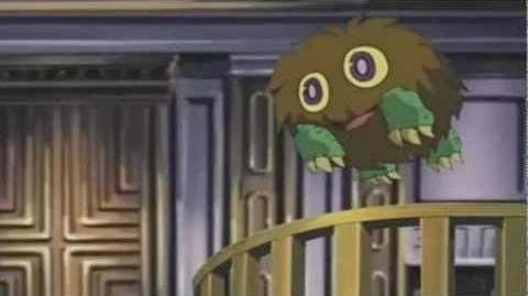 Kuriboh | Yu-Gi-Oh Abridged Wiki | Fandom