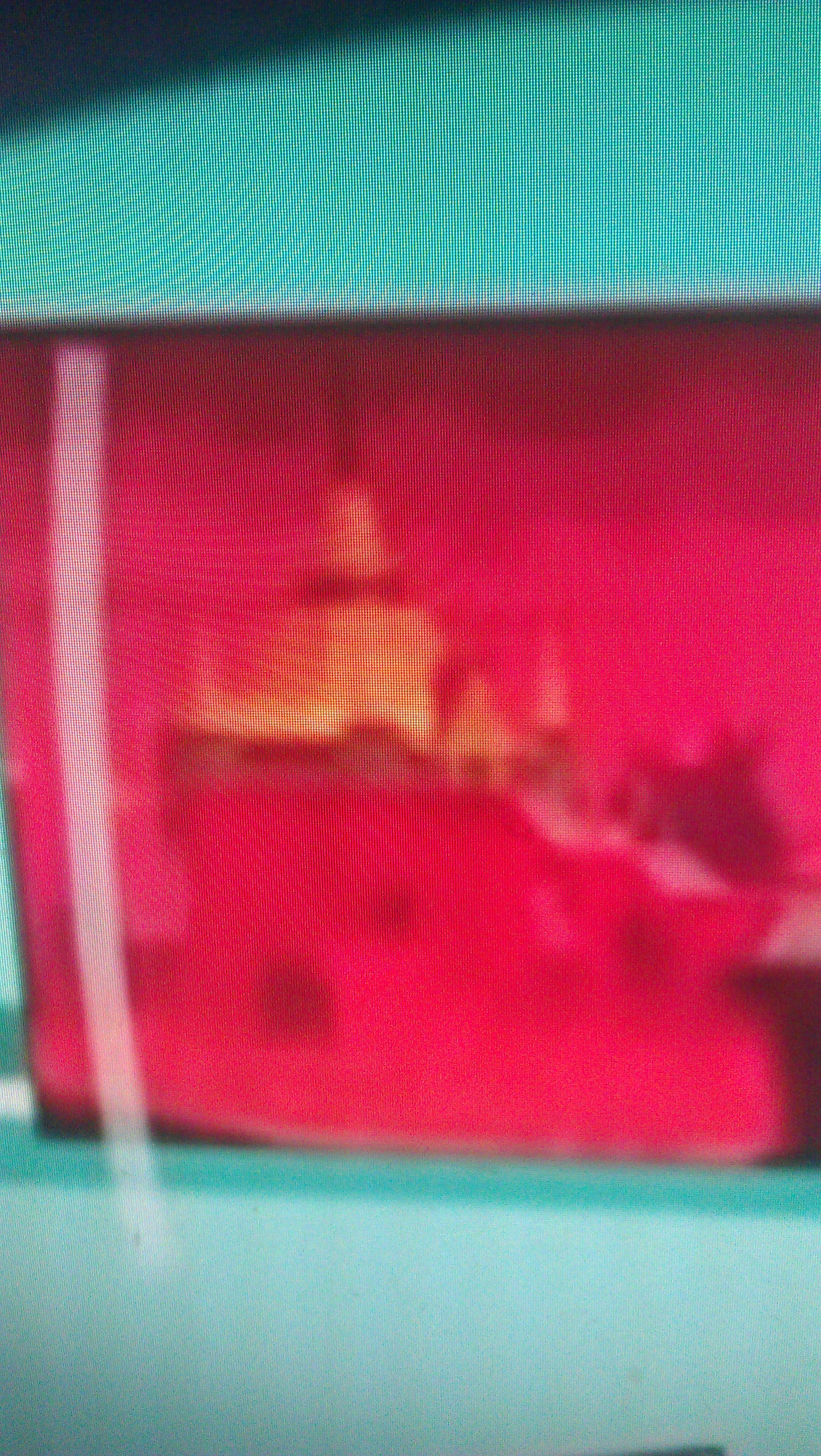 Woo Foo Temple of Deadly Whatever | Yin Yang Yo! Wiki | Fandom