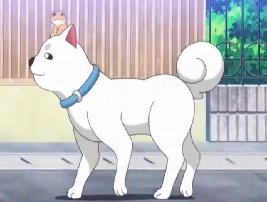 Komasan (Shadowside) | Yo-kai Watch Wiki | FANDOM powered by Wikia