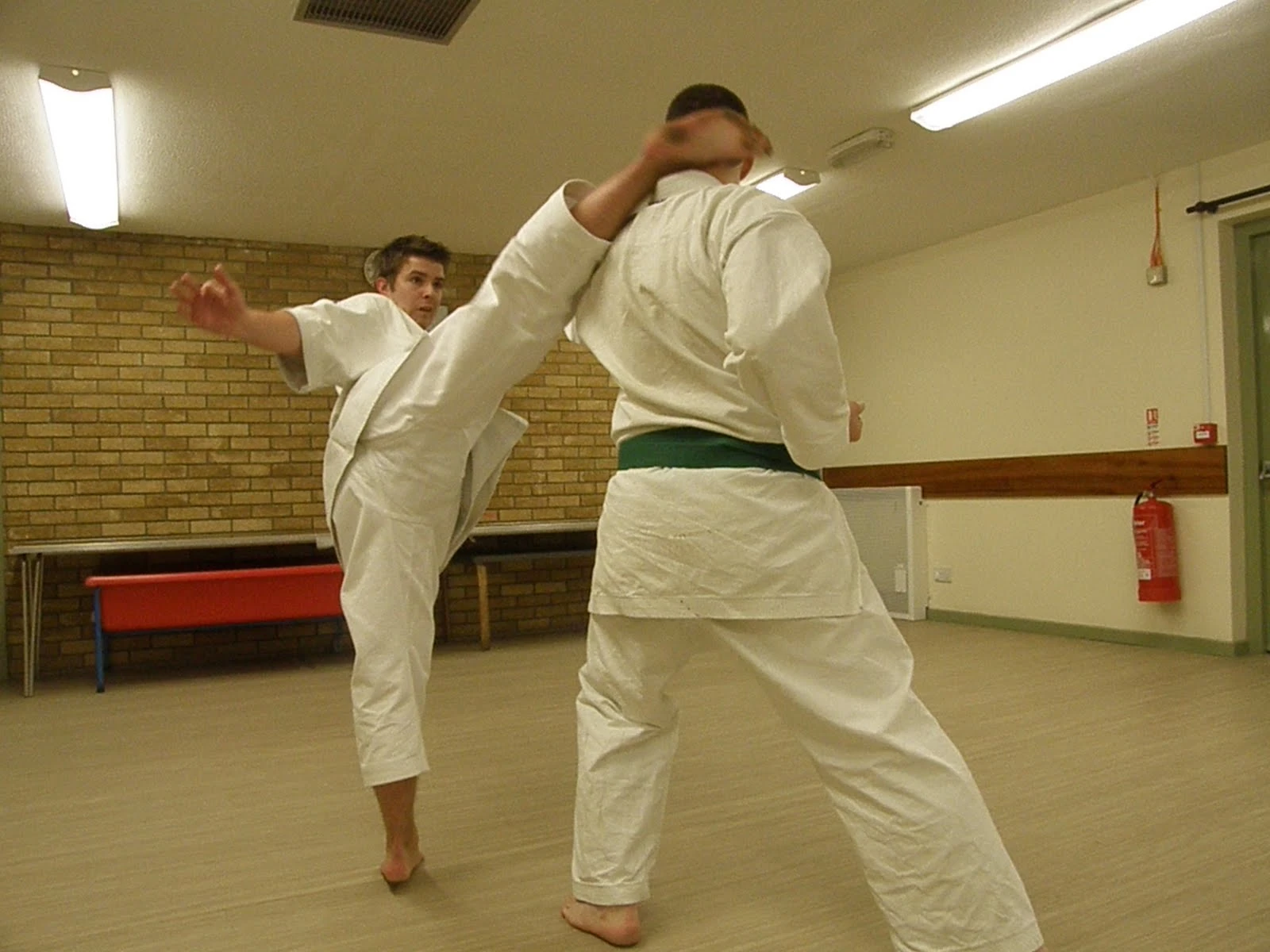 Mawashi-geri | Young Samurai Wiki | FANDOM powered by Wikia