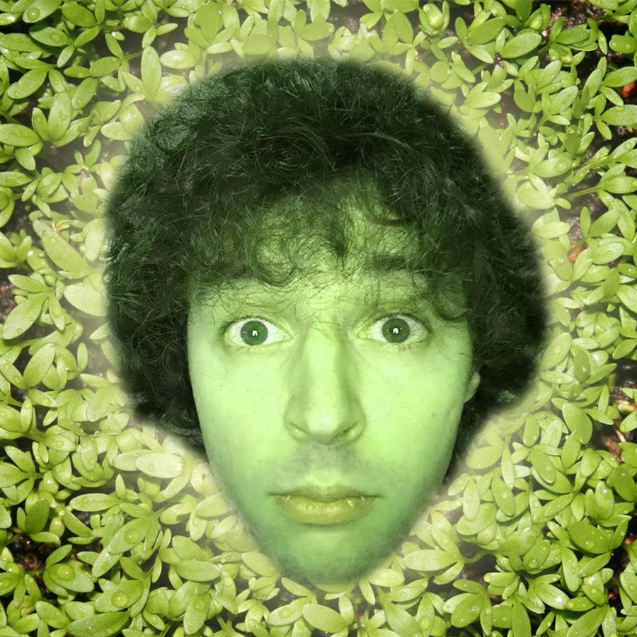 stampylonghead | Wikitubia | Fandom