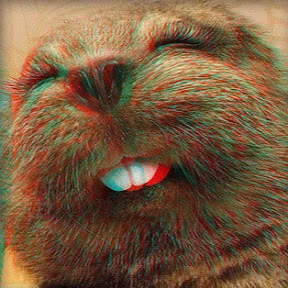 Spifey | Wikitubia | Fandom